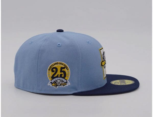 Portland Sea Dogs 2-Tone 25 Seasons 59Fifty Fitted Hat by MiLB x New ...