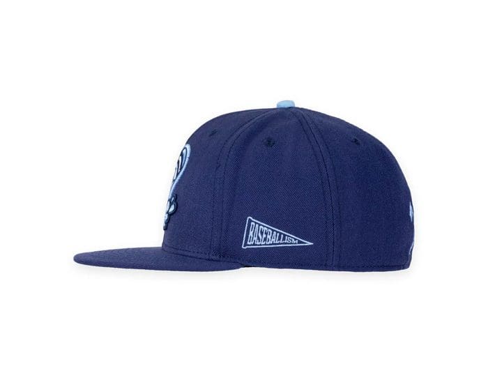 Wet Sox Fitted Hat by Baseballism | Strictly Fitteds