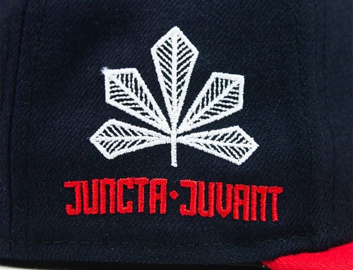 Cincinnati Reds City Connect Navy Red 59Fifty Fitted Hat by MLB x New ...