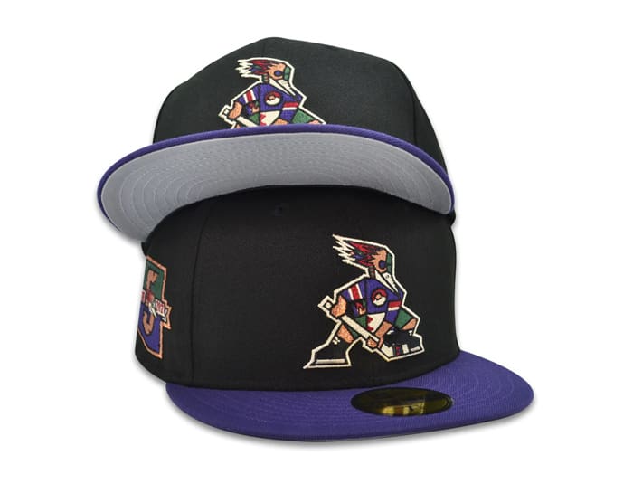 Tucson Roadrunners 5th Anniversary 59Fifty Fitted Hat by AHL x New Era ...